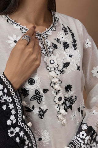 Stitched Embroidered Shirt – Sana Safinaz